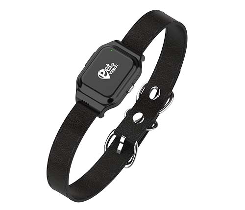קולר GPS לחיות מחמד PET WATCH 2.0 מבית KidiWatch - אייבורי מחשבים וסלולר